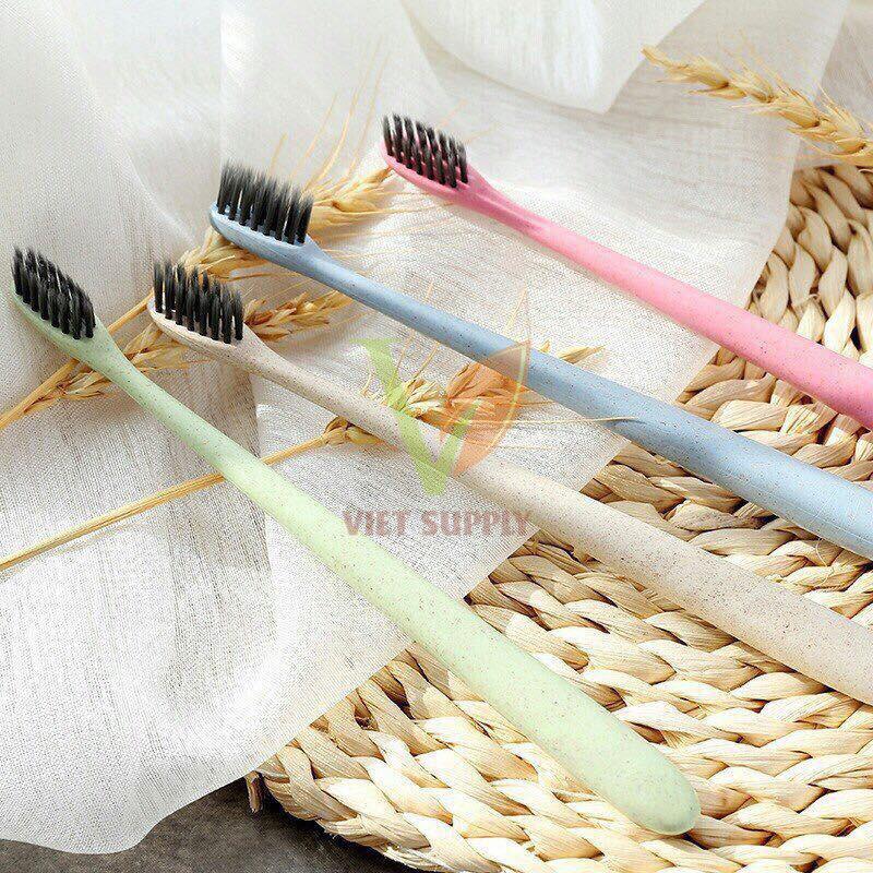 LM01 Công Ty Cung Cấp Bàn Chải Lúa Mạch Giá Tốt